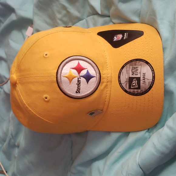 NFL | Other | Nfl Pittsburgh Stealers Fitted Hat | Poshmark
